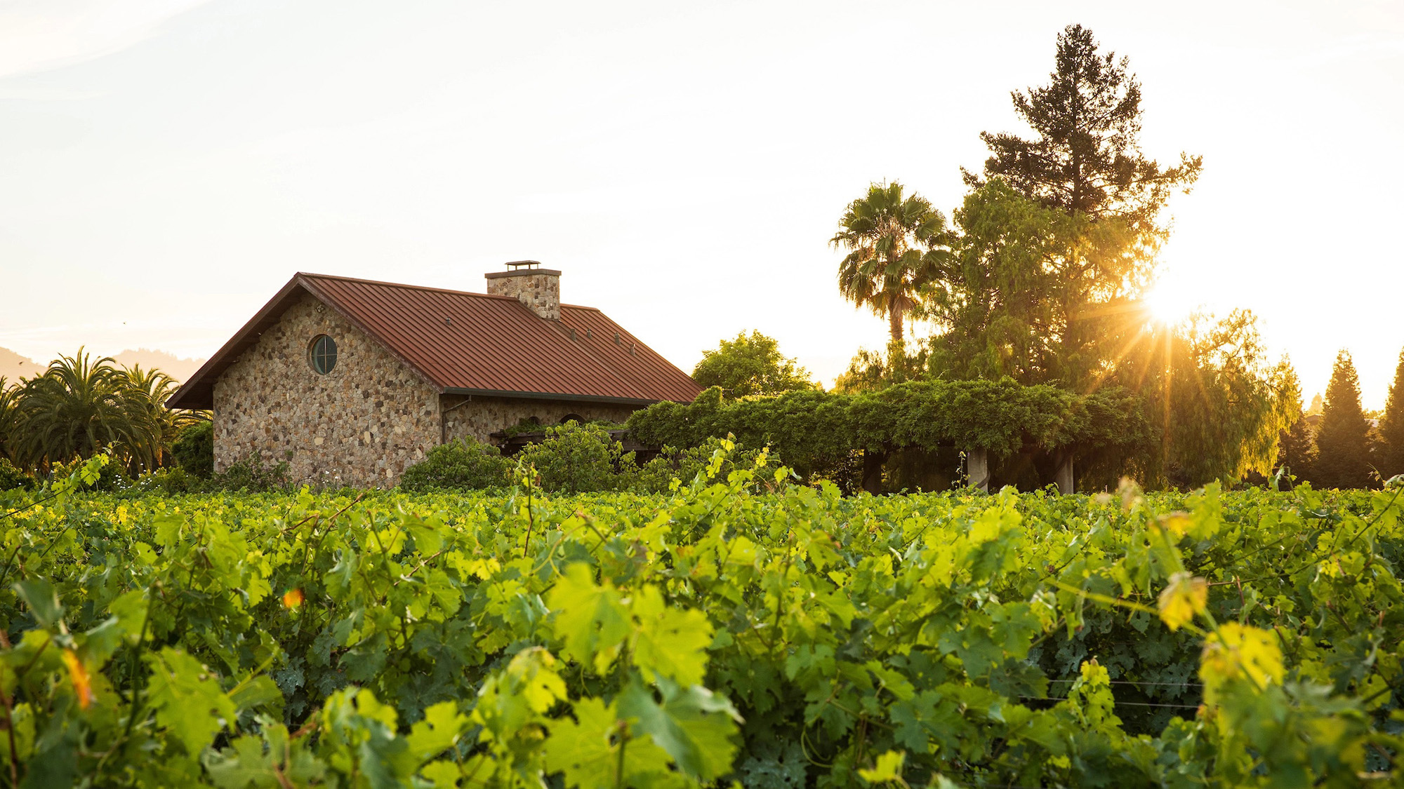 Napa’s Heitz Cellar Reopens With $1,000 Tasting Experience - Spirited