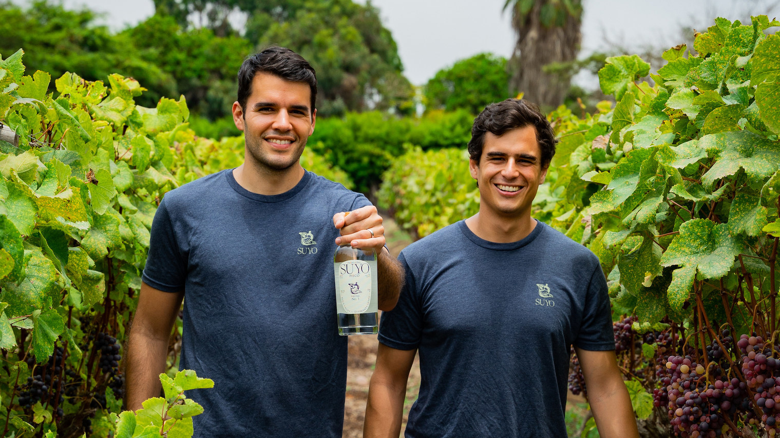 SUYO Brings Single Origin Peruvian Pisco To US - Spirited