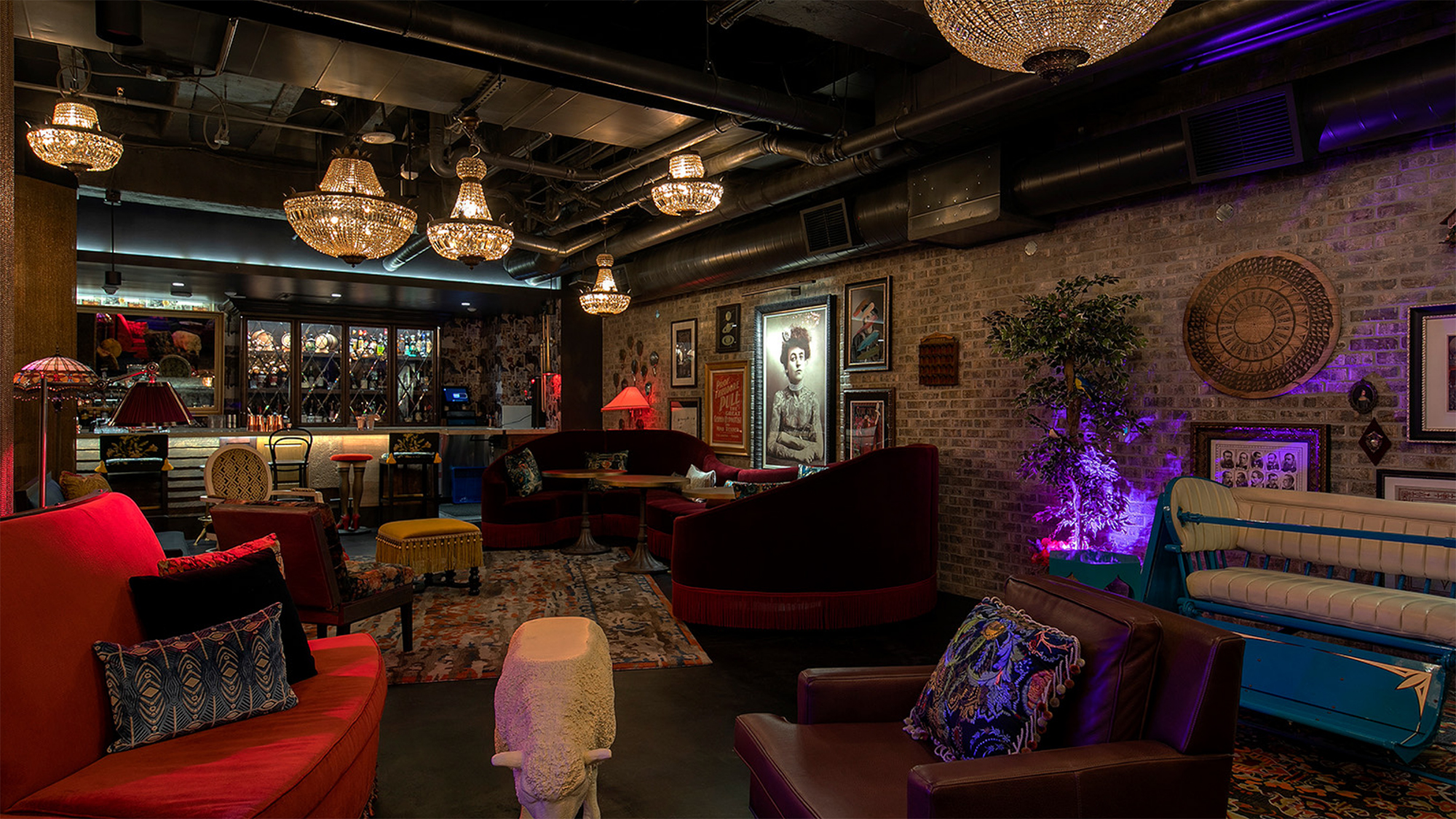 Lilly Rose at the Wayfarer